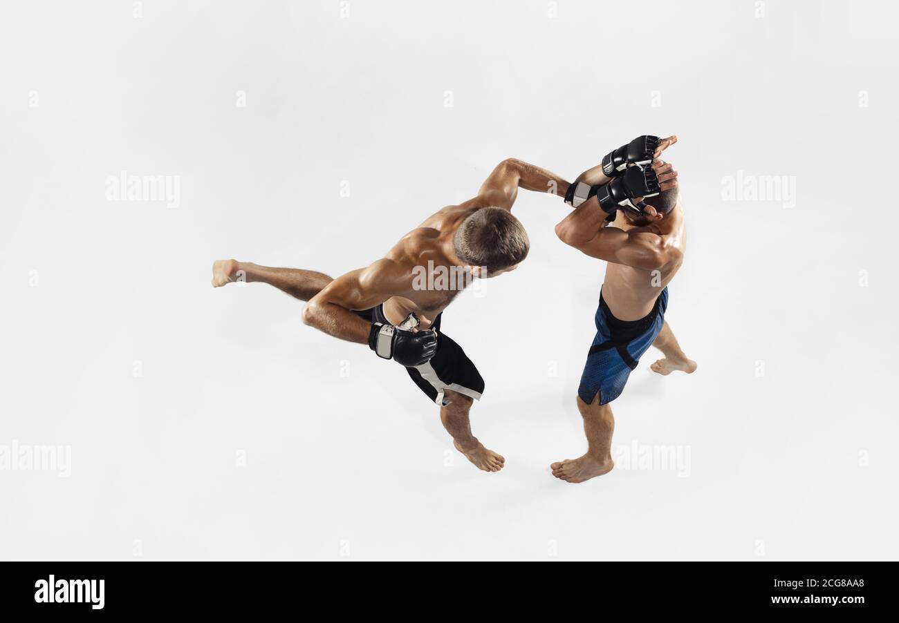 Two professional MMA fighters boxing isolated on white studio ...