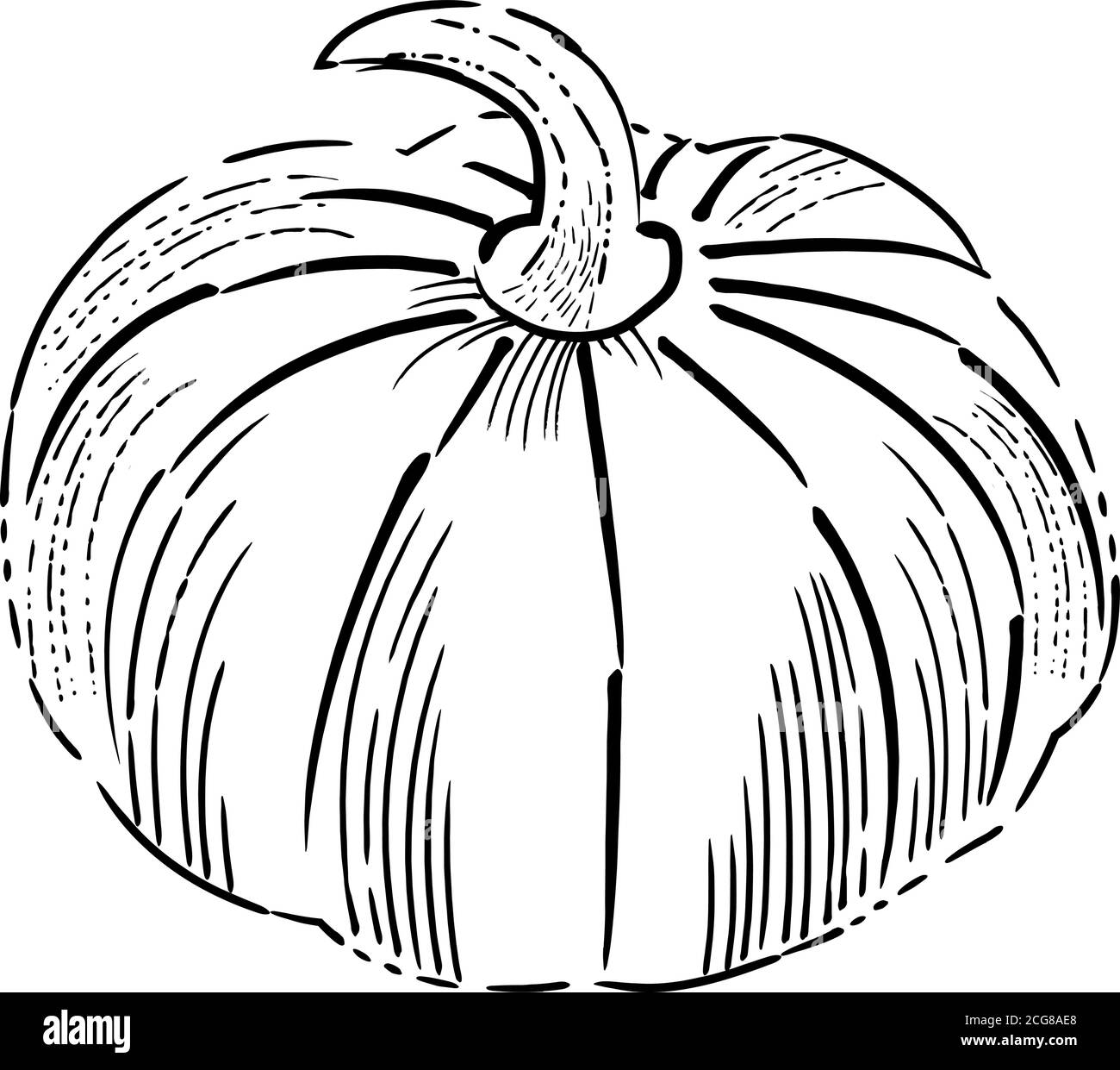 Pumpkin icon, Harvest Thanksgiving sketch vector illustration Stock ...