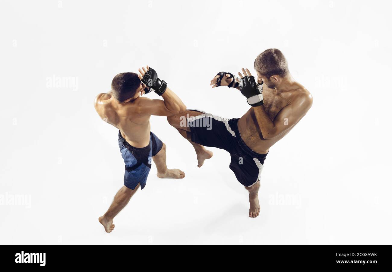 Two professional MMA fighters boxing isolated on white studio ...