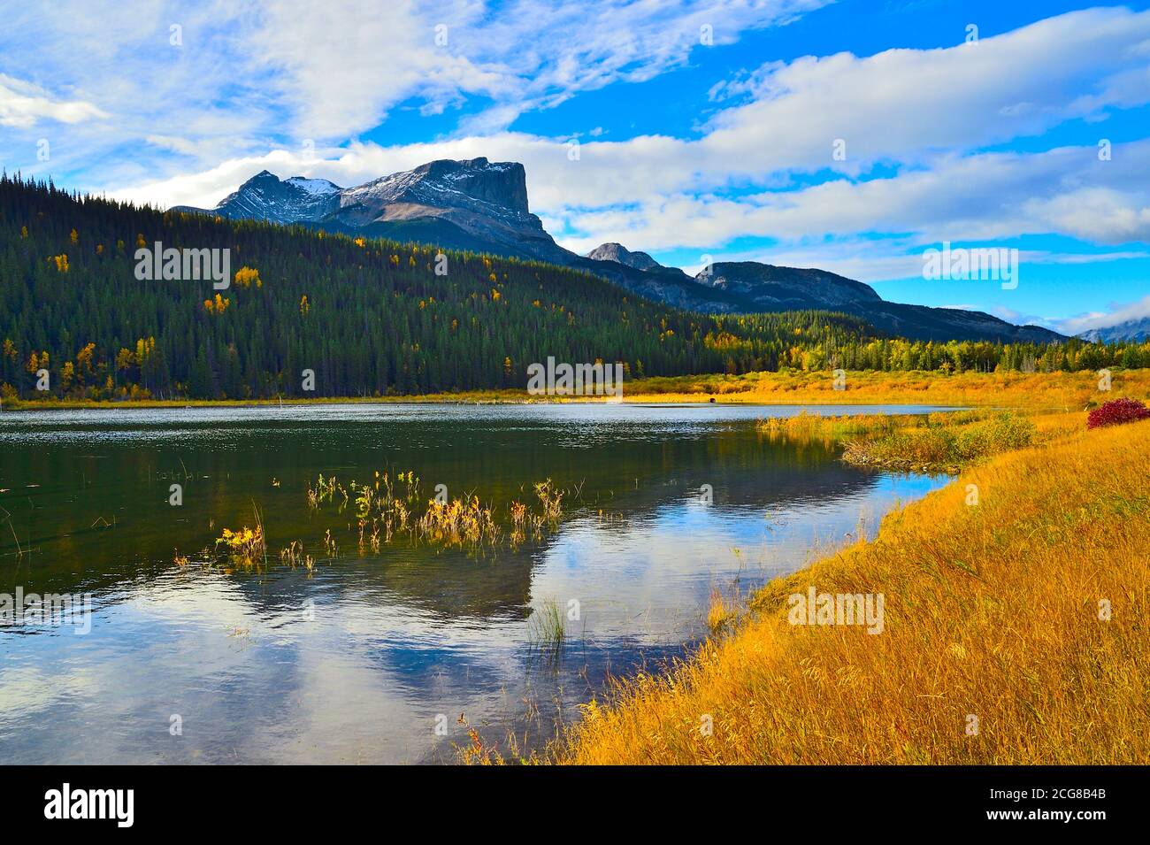A fall landscape image of Roche Miette mountain in Jasper National Park ...