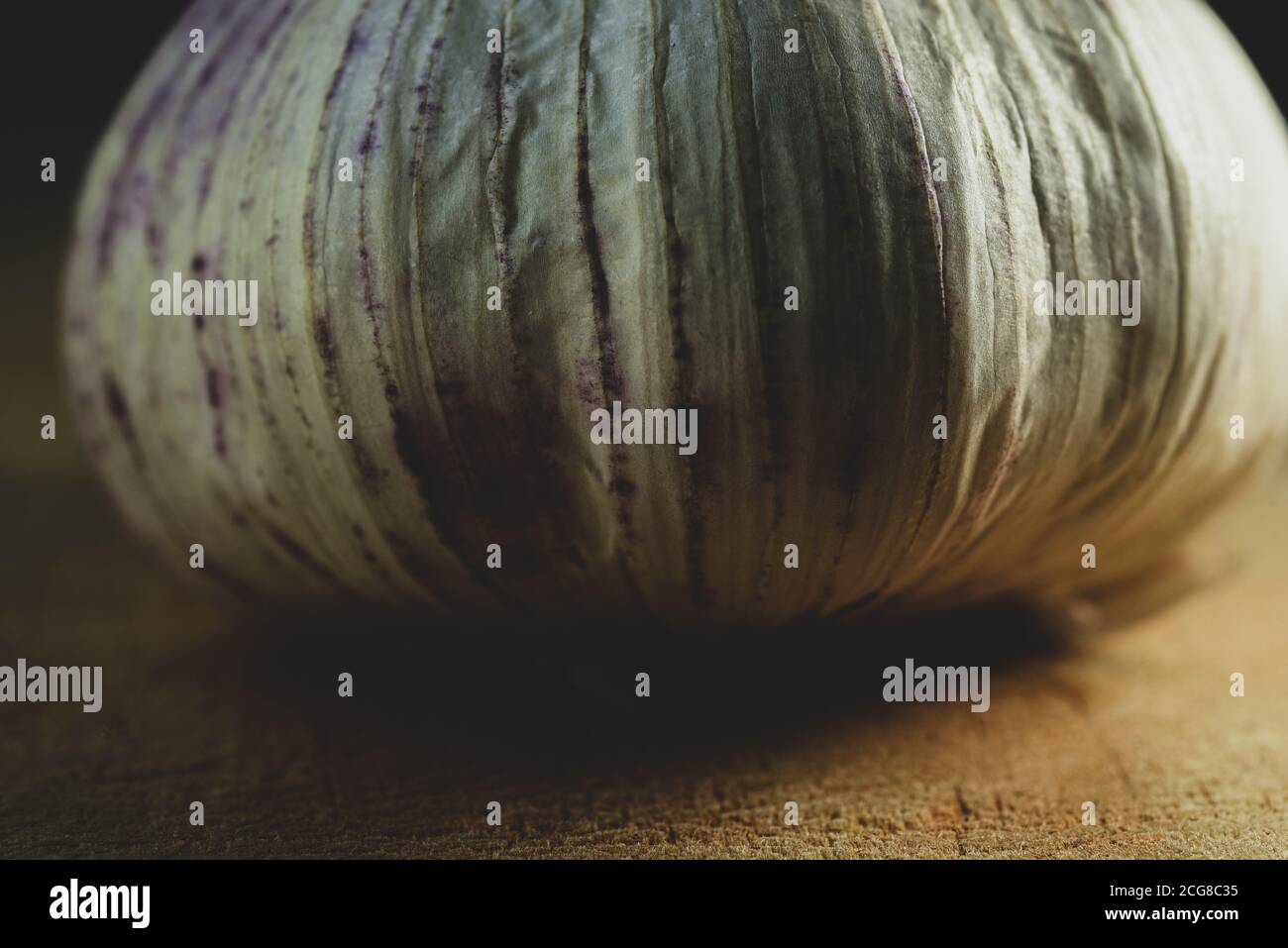 Professional Macro portrait of Garlic Skin details Stock Photo - Alamy