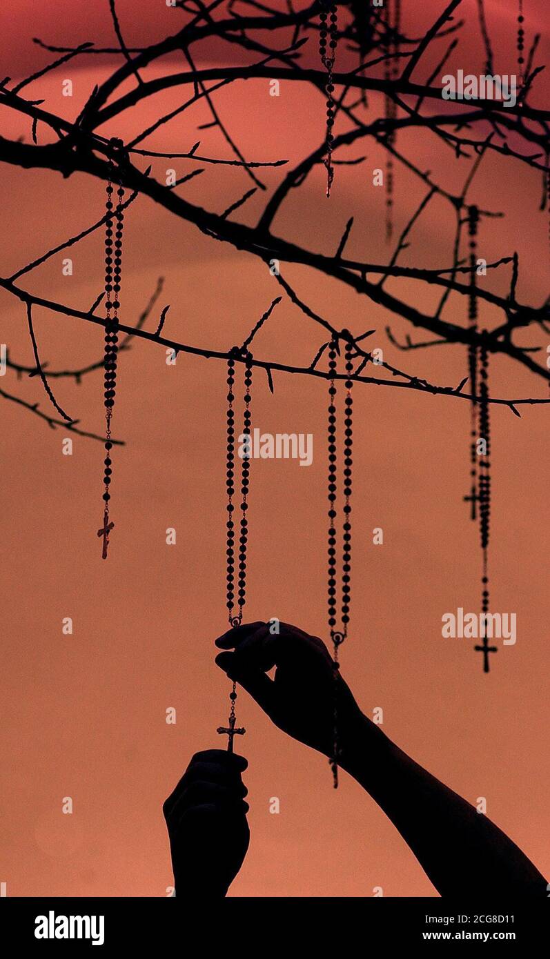 Catholic Prayer Tree