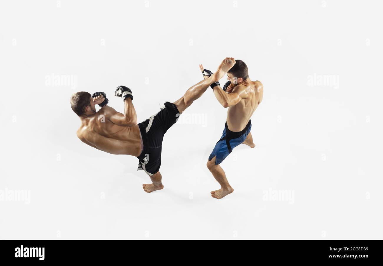 Two professional MMA fighters boxing isolated on white studio ...