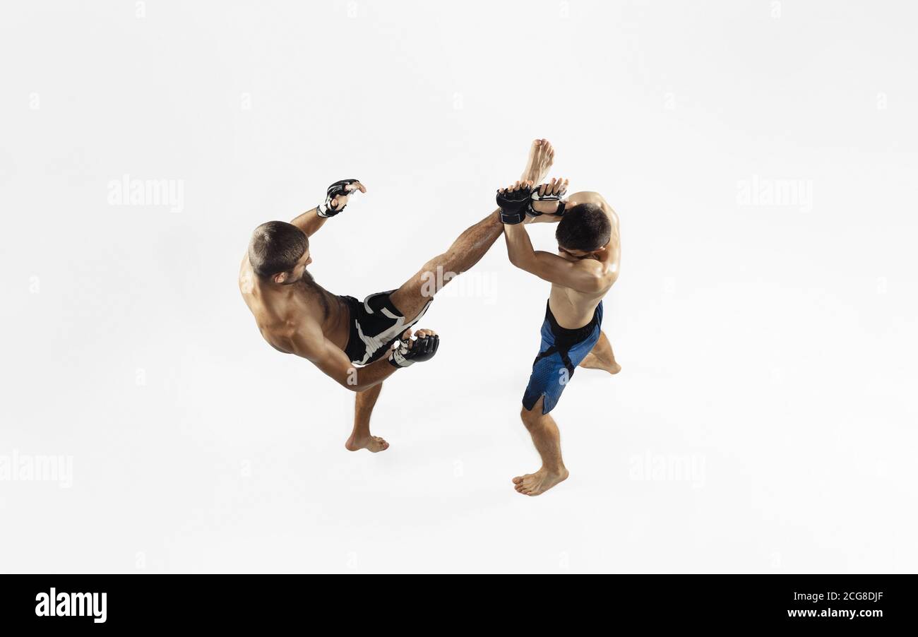 Two professional MMA fighters boxing isolated on white studio ...