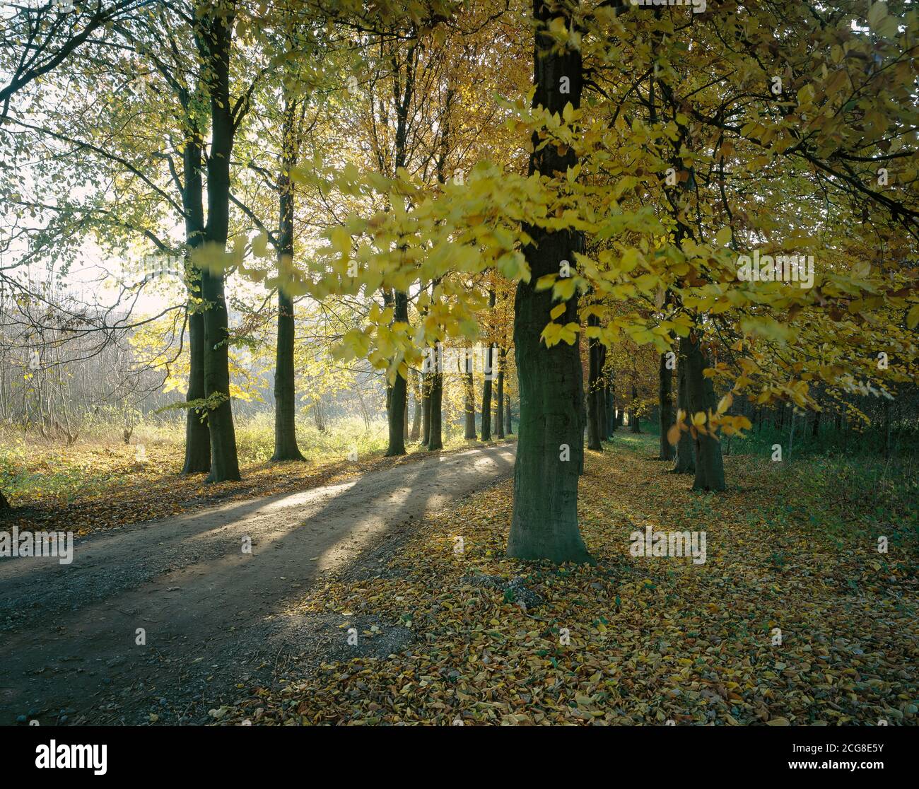 Werkhoven hi-res stock photography and images - Alamy