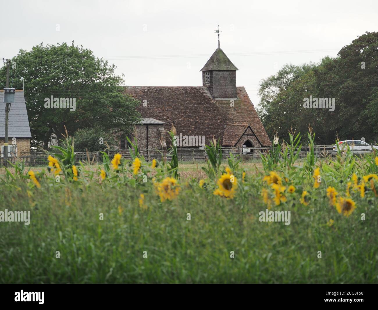 Harty, Kent, UK. 9th September, 2020. UK Weather: a warm but overcast ...