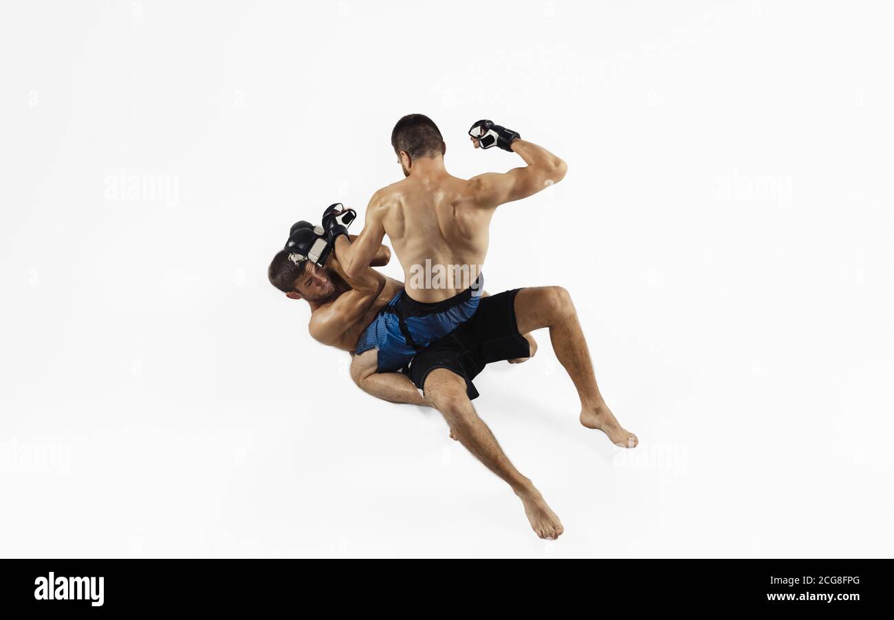 Two professional MMA fighters boxing isolated on white studio ...