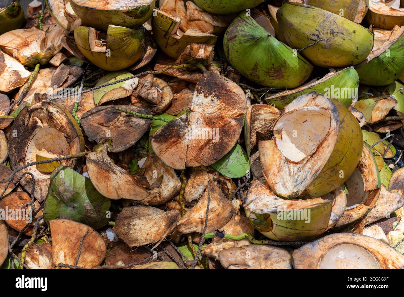 Pile of coconut shells hi-res stock photography and images - Alamy
