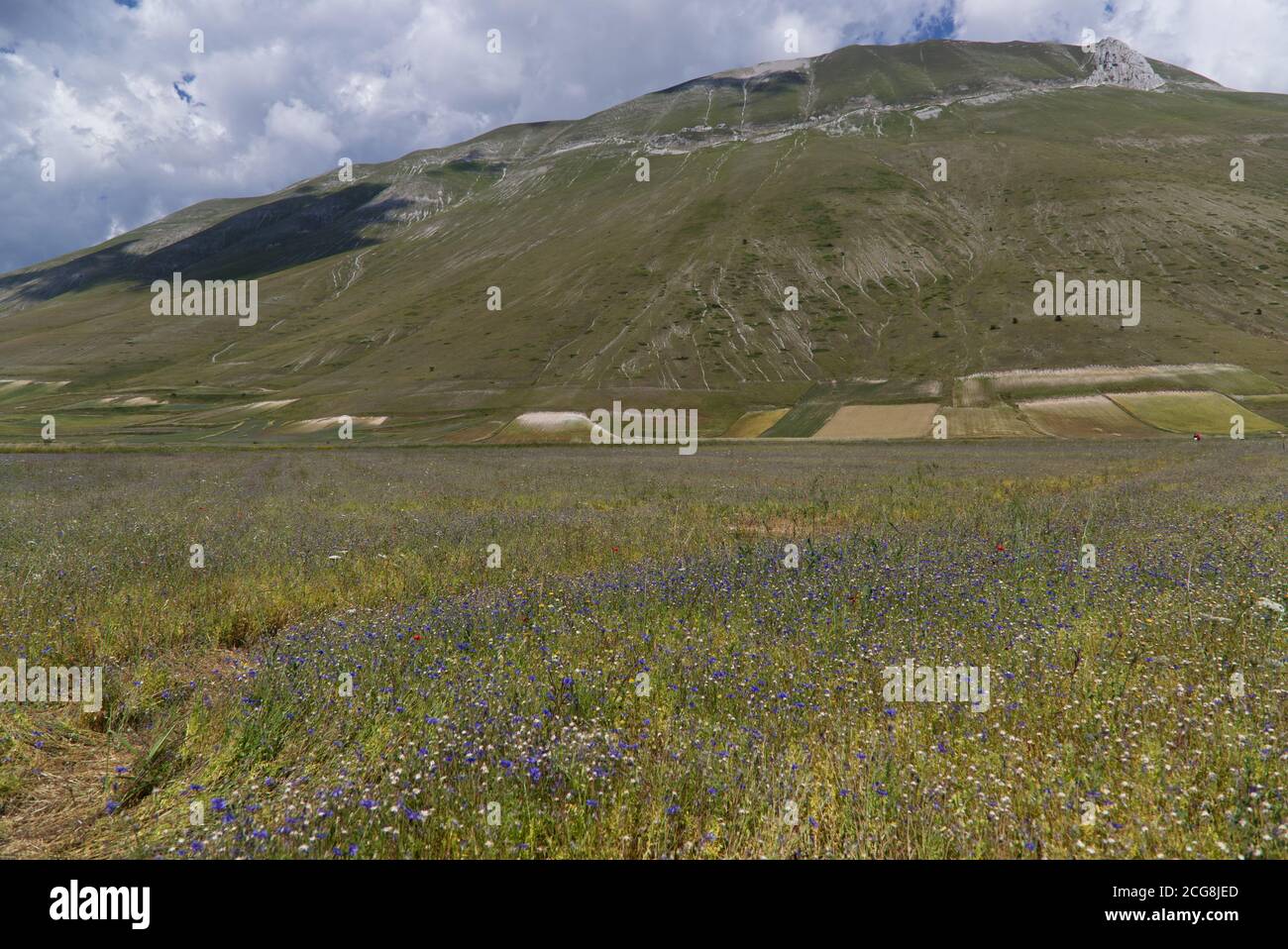 The plateau of Castelluccio in UMBRIA, Italy Stock Photo - Alamy