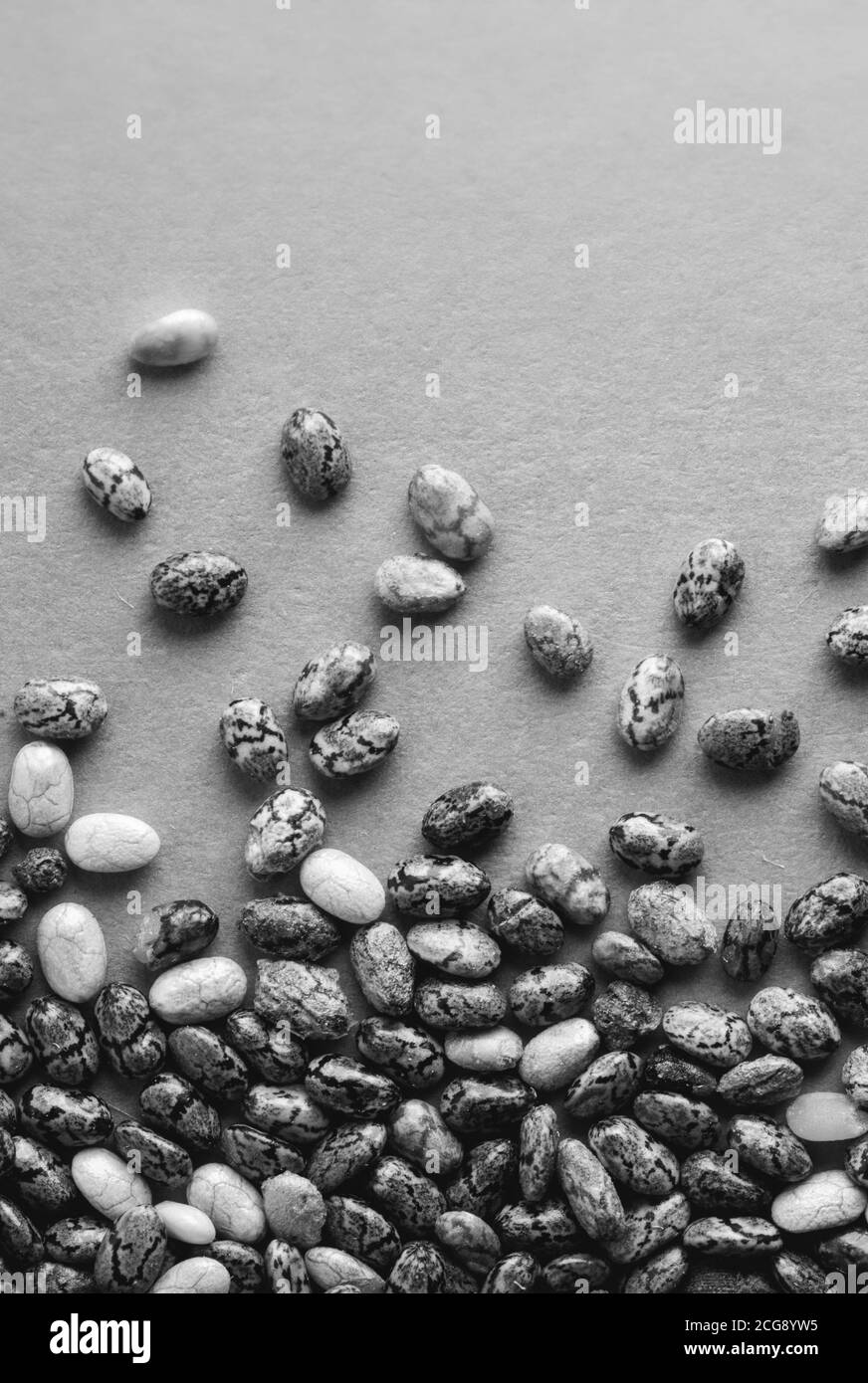 Minerals photography Black and White Stock Photos & Images - Alamy