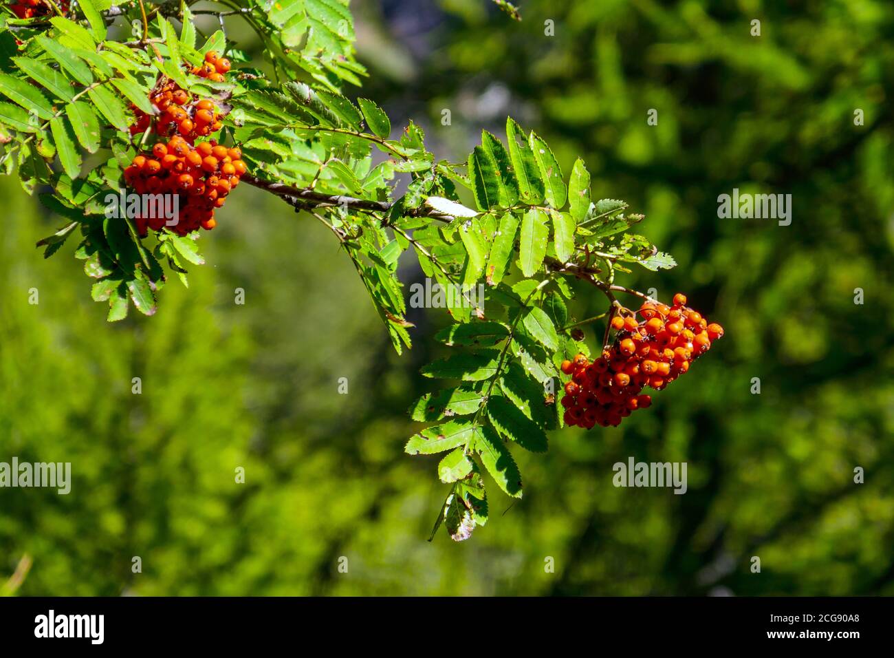 Signs of autumn hi-res stock photography and images - Alamy
