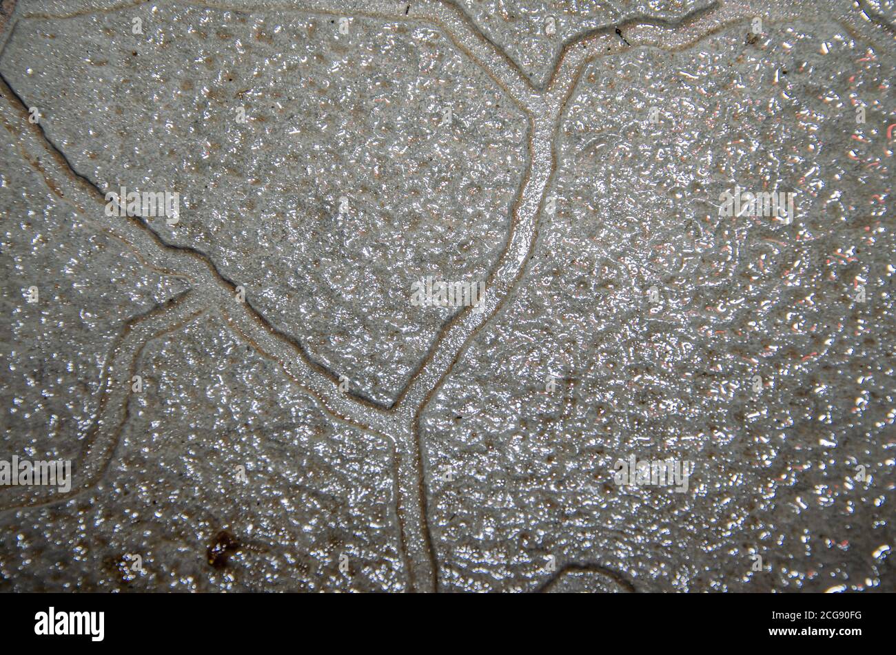 Bathroom floor tiles tile background wet texture hi-res stock ...