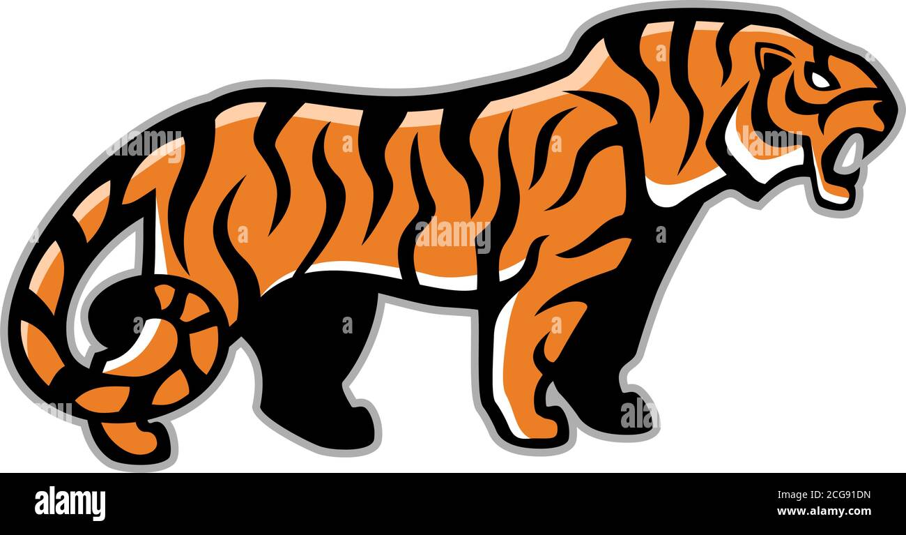 vector angry tiger mascot illustration Stock Vector Image & Art - Alamy