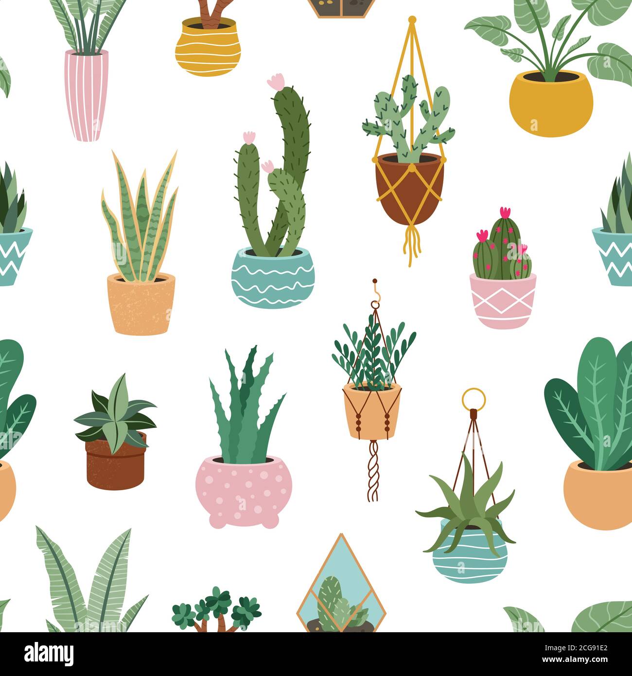 Home plants pattern. Seamless flower potted plant, decorative botanical ...