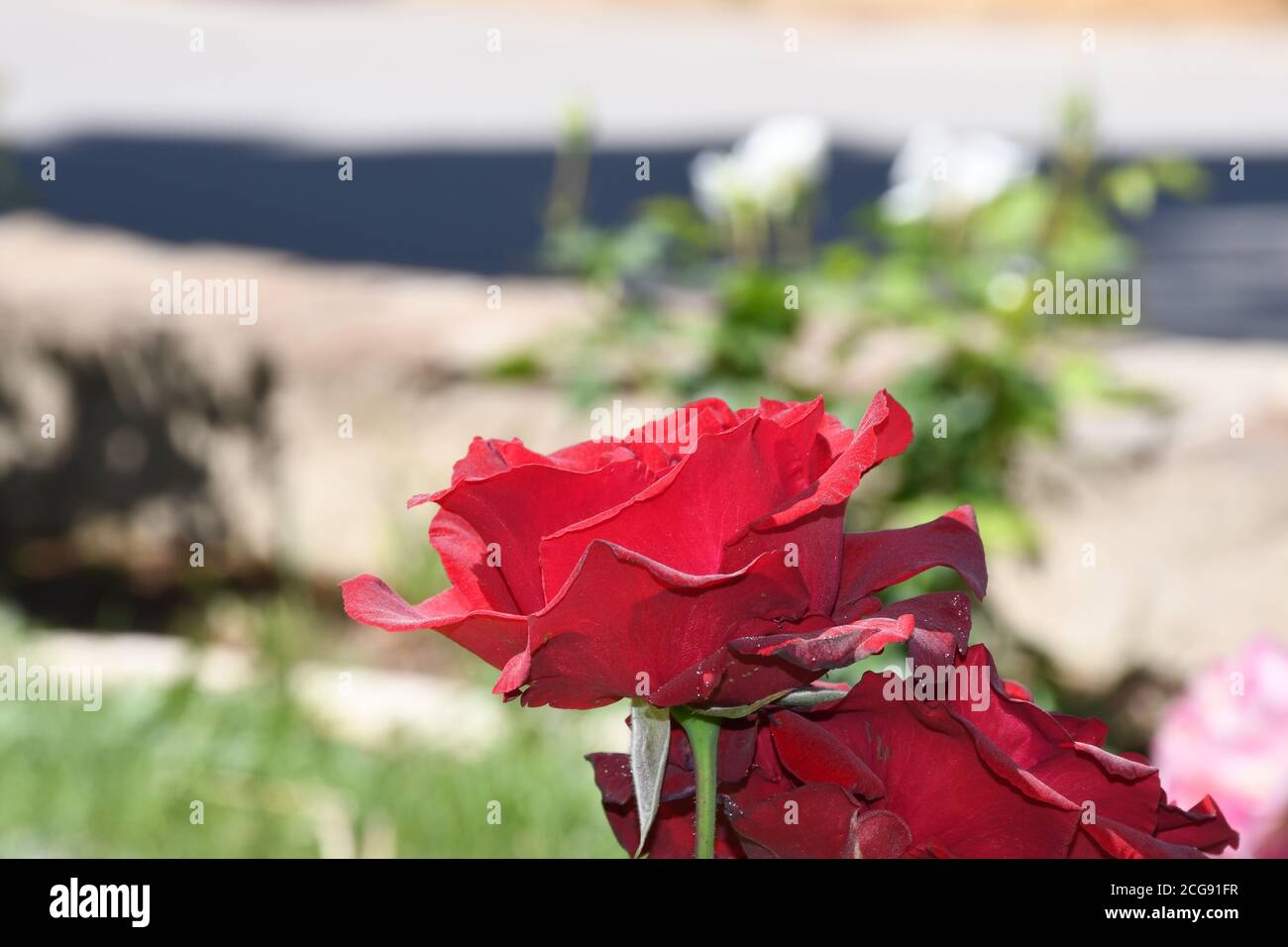 Beautiful daylight hi-res stock photography and images - Alamy