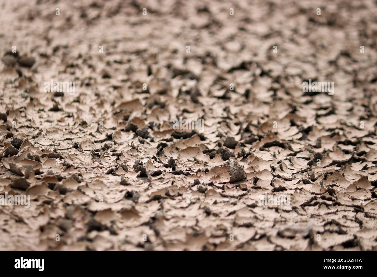 Dried slush hi-res stock photography and images - Alamy