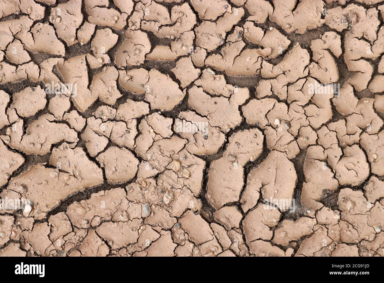 Dried slush. Texture cracked dirt. Selective focus. Macro Stock Photo ...