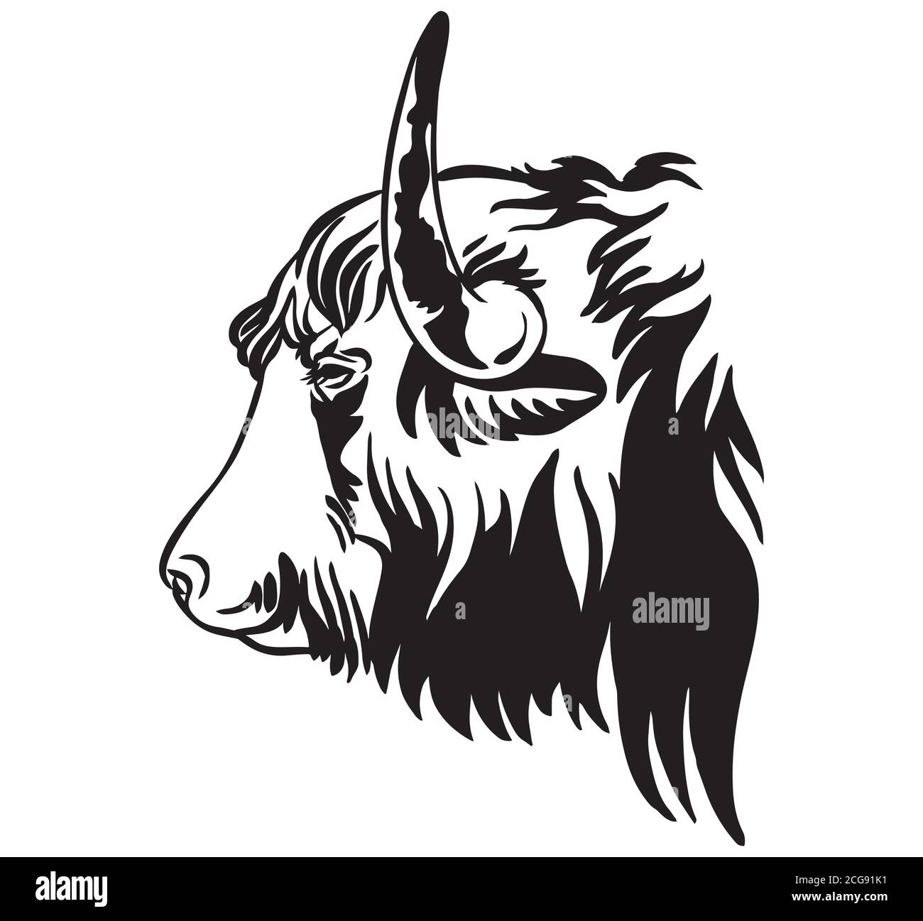 Yak portrait Cut Out Stock Images & Pictures - Alamy