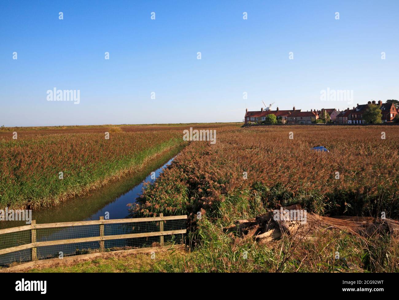 The River Glaven flowing through reed beds downstream of the culvert ...