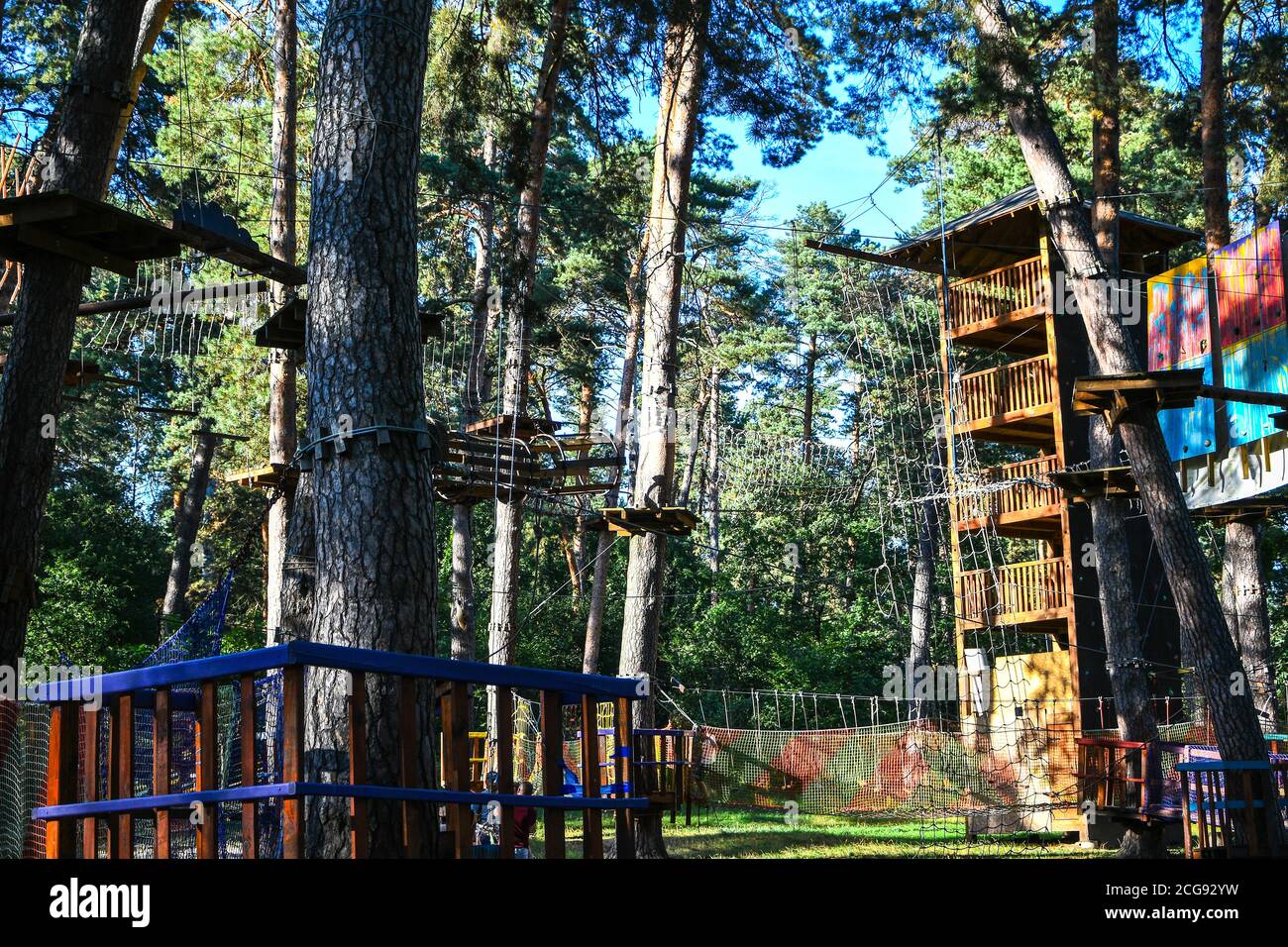 rope park in the tall tree forest obstacle. Adventure climbing high ...