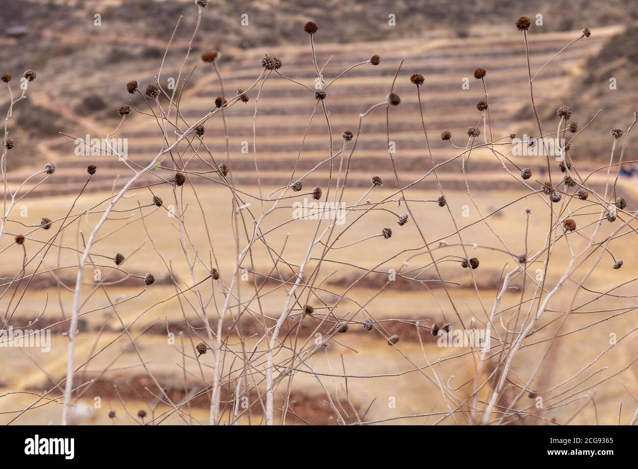 Inka empire hi-res stock photography and images - Alamy