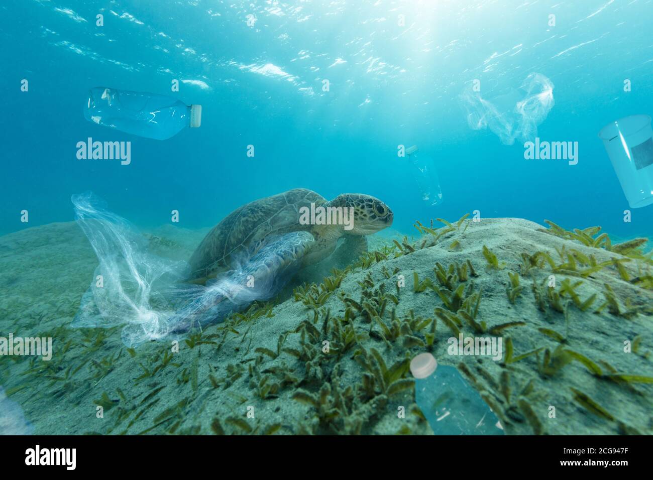 Underwater concept of global problem with plastic rubbish floating in ...