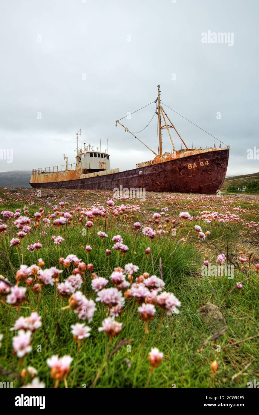 Old ruined ship wreck parked on beach, north Iceland Stock Photo - Alamy
