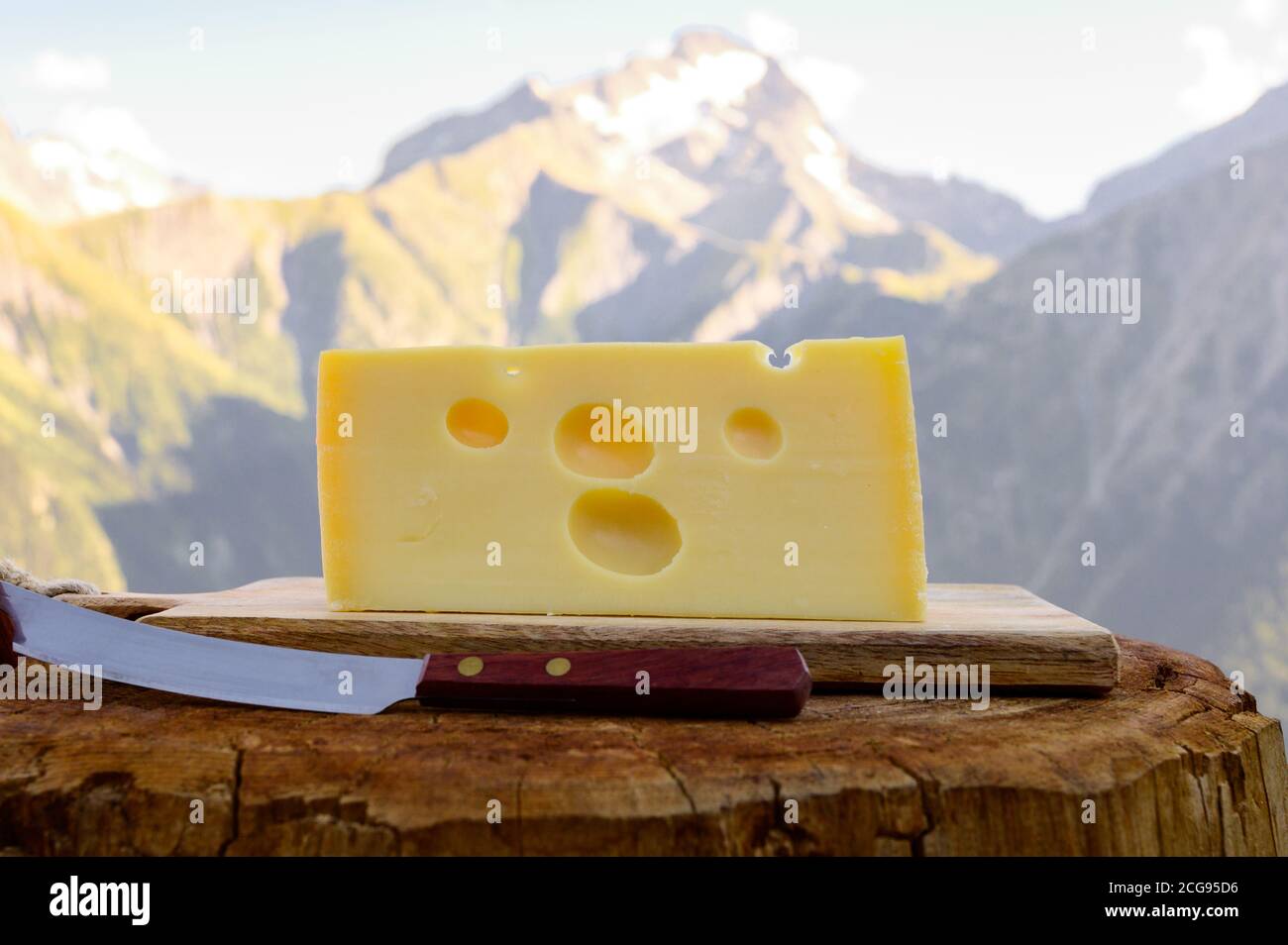Cheese collection, French emmental de savoie cheese with round holes ...