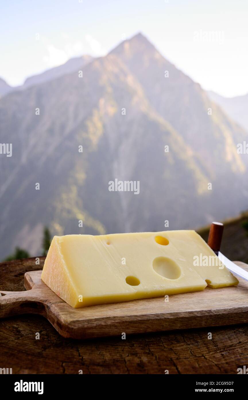 Cheese collection, French emmental de savoie cheese with round holes ...