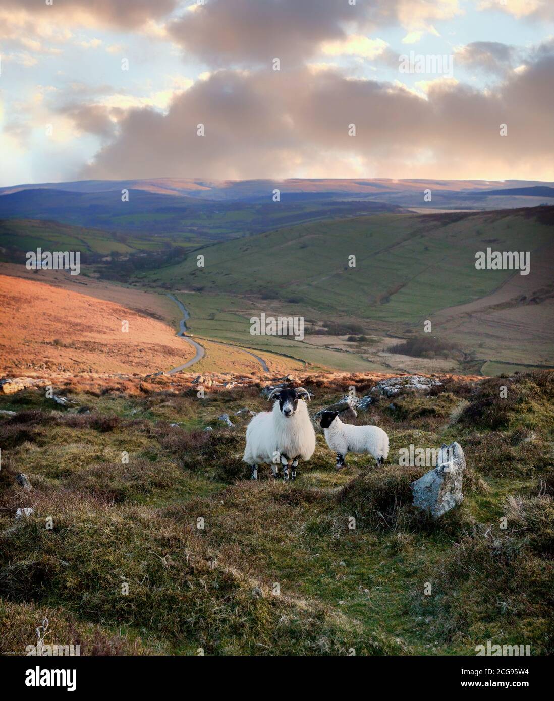 dartmoor national park at sunset devon england uk Stock Photo - Alamy