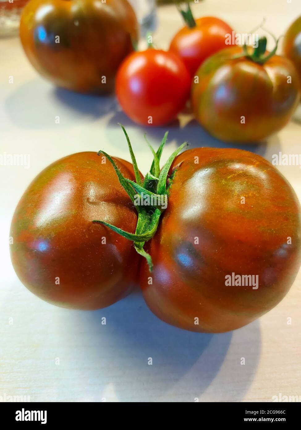 The ripe black zebra tomato is a siamese twins isolated on white ...