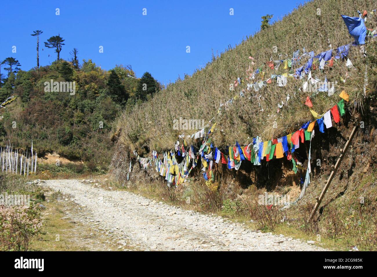 prayer flags in the countryside in butan Stock Photo - Alamy