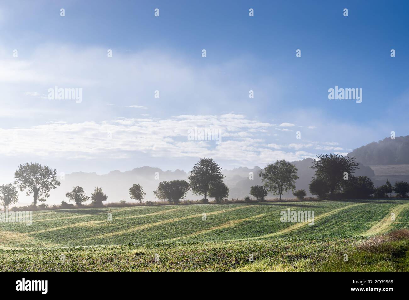 A scenic view of a field in the Hampshire countryside on a misty ...
