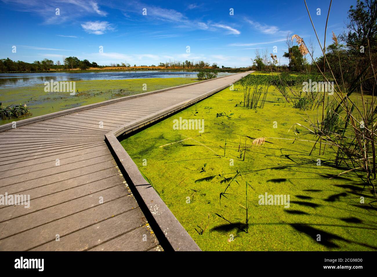 Hillman marsh hi-res stock photography and images - Alamy