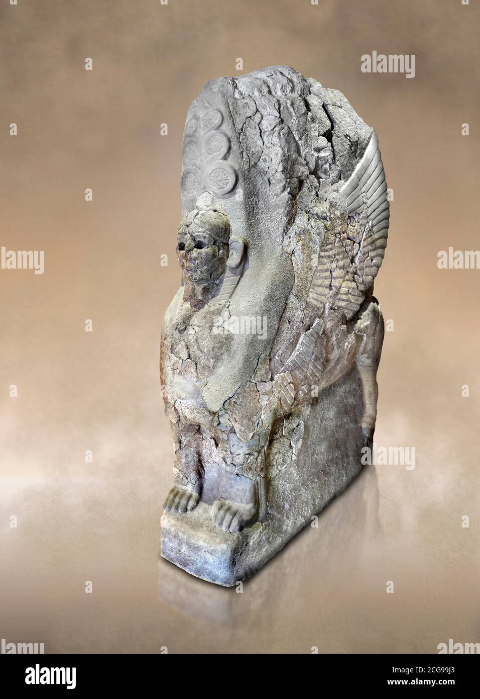 Hittite sphinx sculpture of one of the 4 sphinx's from the Sphinx gate ...