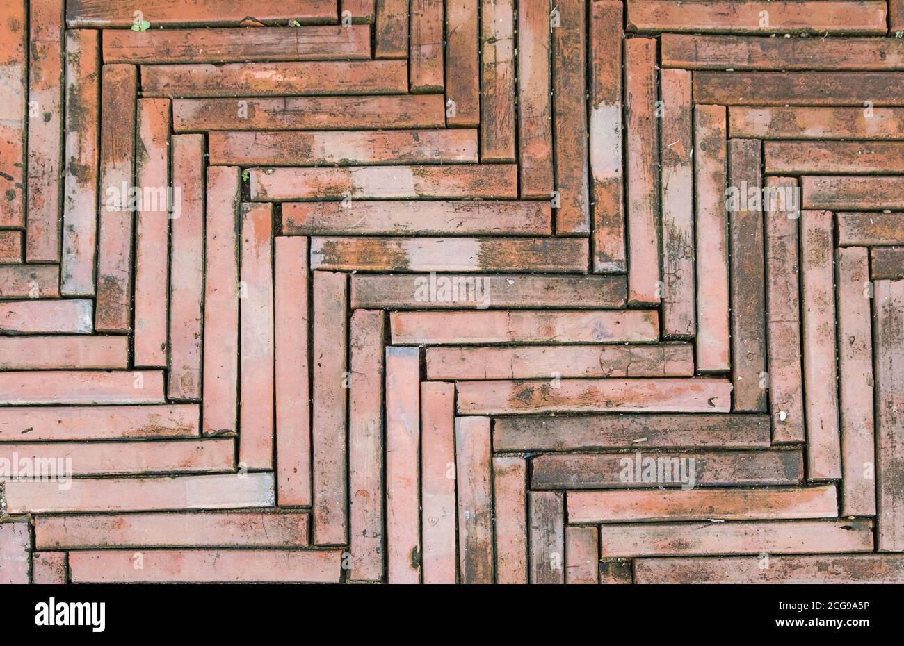 Wave pattern of the red brick tile on the pavement in the botanical ...