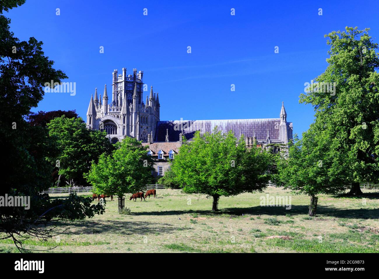 Ely cambridgeshire church medieval buildings english england uk hi-res ...
