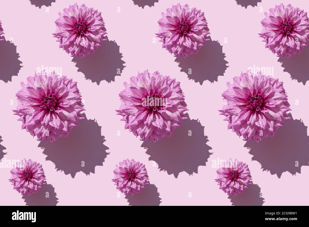 Light Purple Flower Pattern