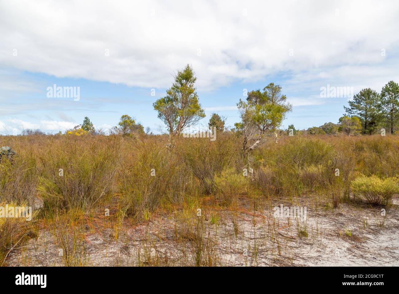 Landscape at Lake Gnangara, Perth, Western Australia Stock Photo - Alamy