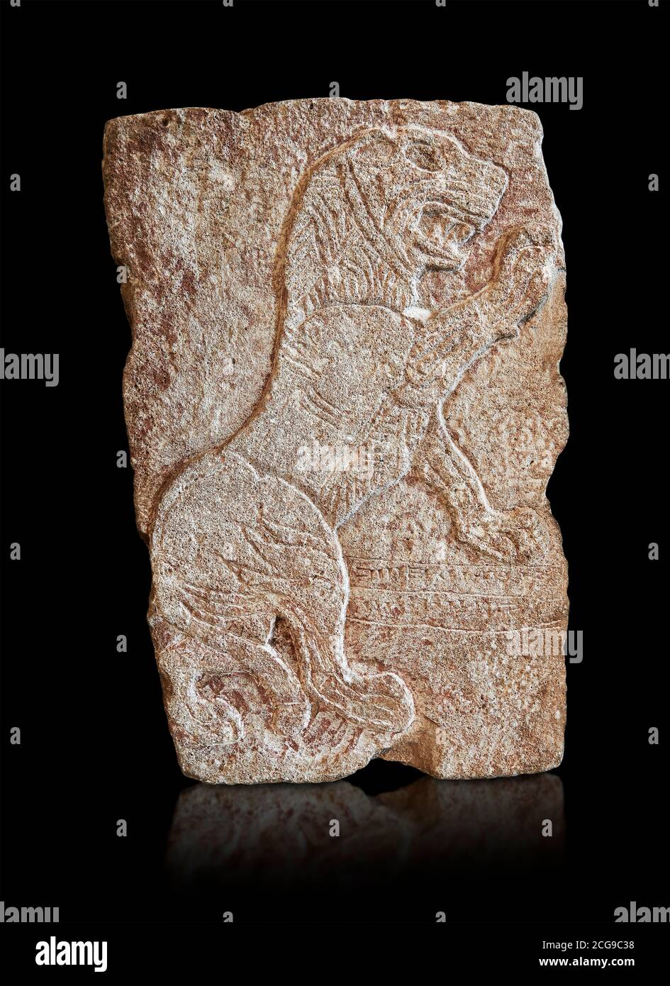 Hittite relief sculpted orthostat panel of a lion from Tell Halaf ...