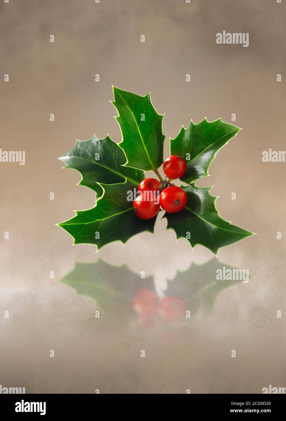 Sprig hi-res stock photography and images - Alamy