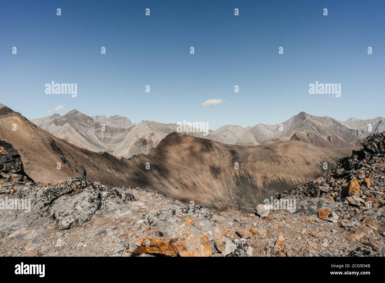 Grizzly ridge hi-res stock photography and images - Alamy