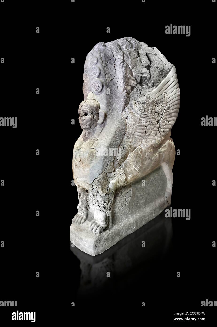 Hittite sphinx sculpture of one of the 4 sphinx's from the Sphinx gate ...