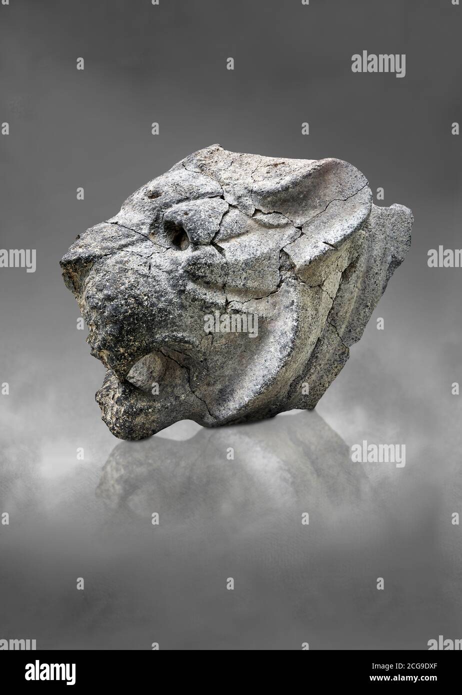 Hittite statue head of a lion, Hittite capital Hattusa, Hittite Middle ...