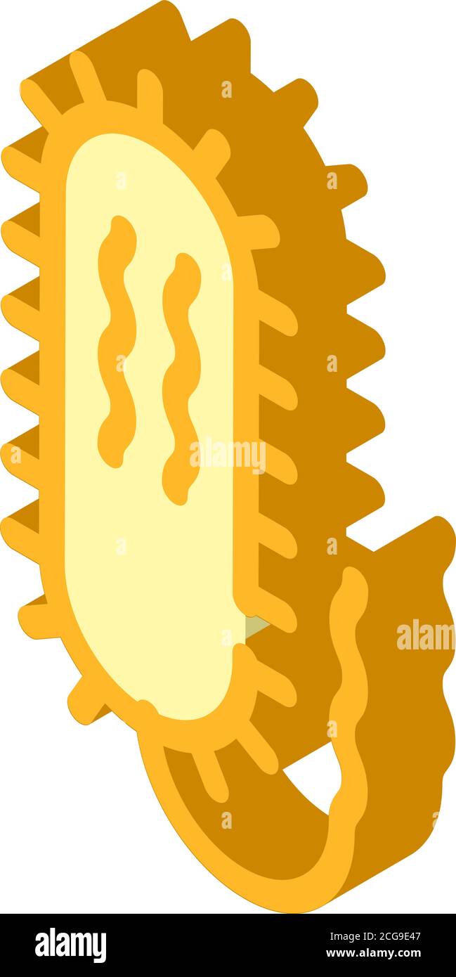 vibrio cholerae isometric icon vector isolated illustration Stock ...