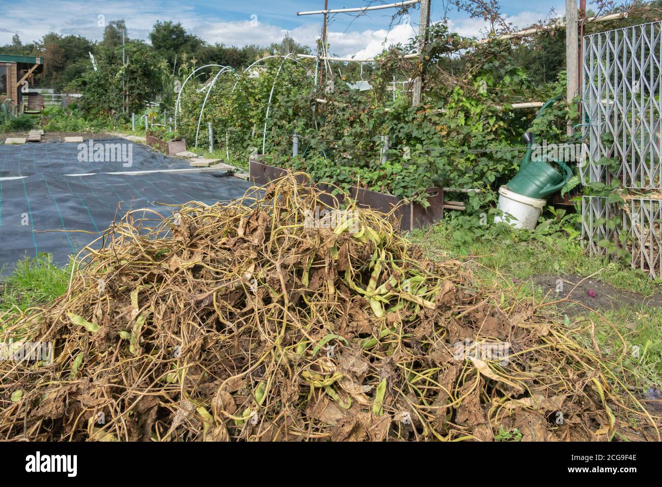 Dutch waste hi-res stock photography and images - Alamy