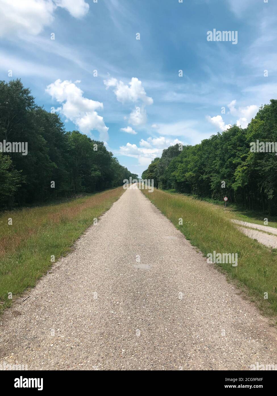 Empty cycling path with green vegetation around. Blue sky with clouds ...