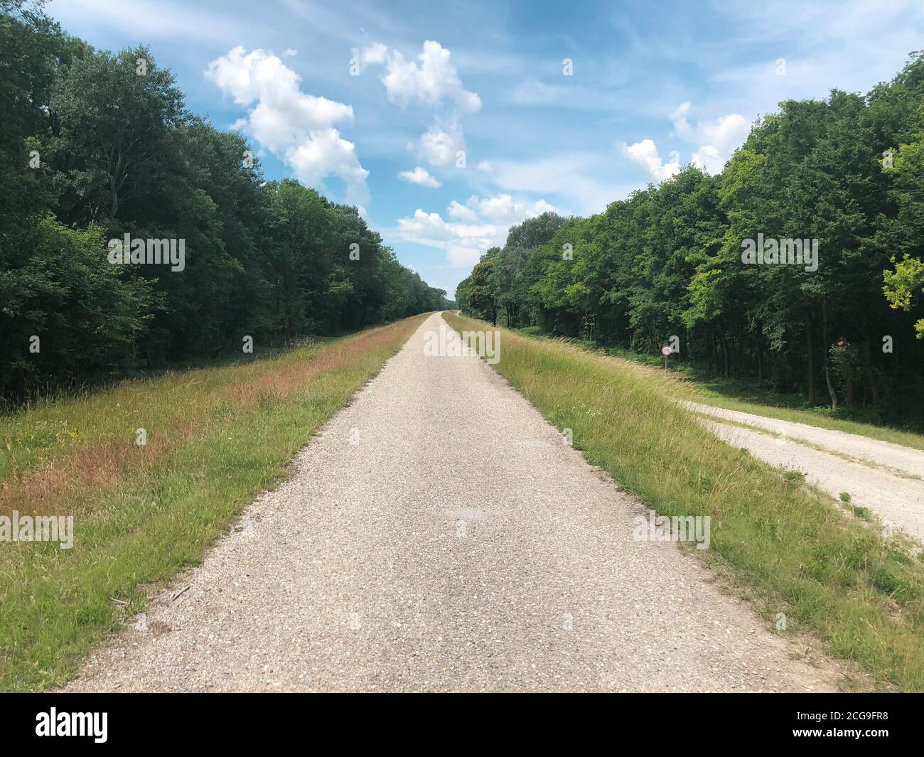 Empty cycling path with green vegetation around. Blue sky with clouds ...