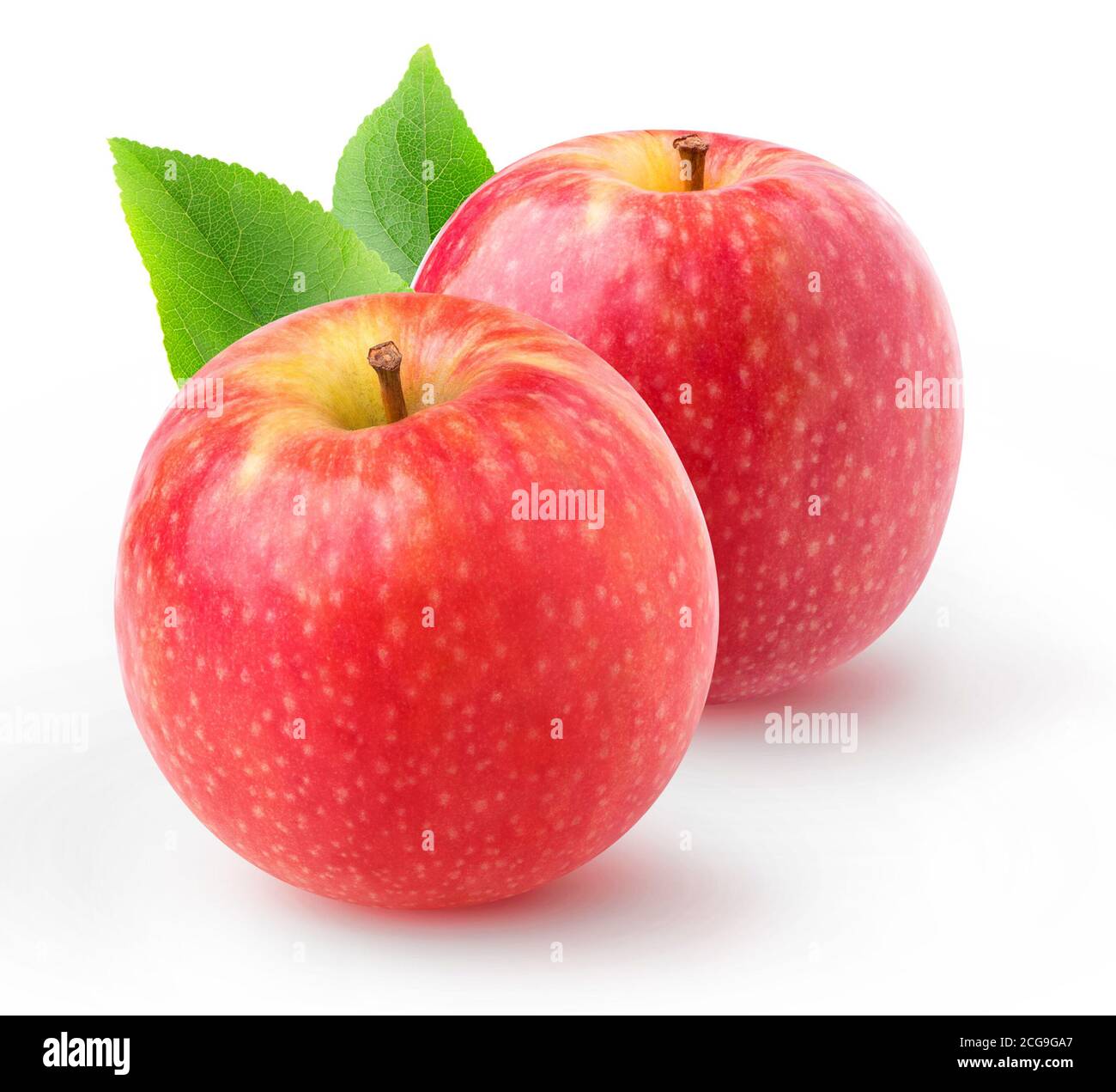 Isolated red apples. Two whole Pink Lady apples isolated on white ...
