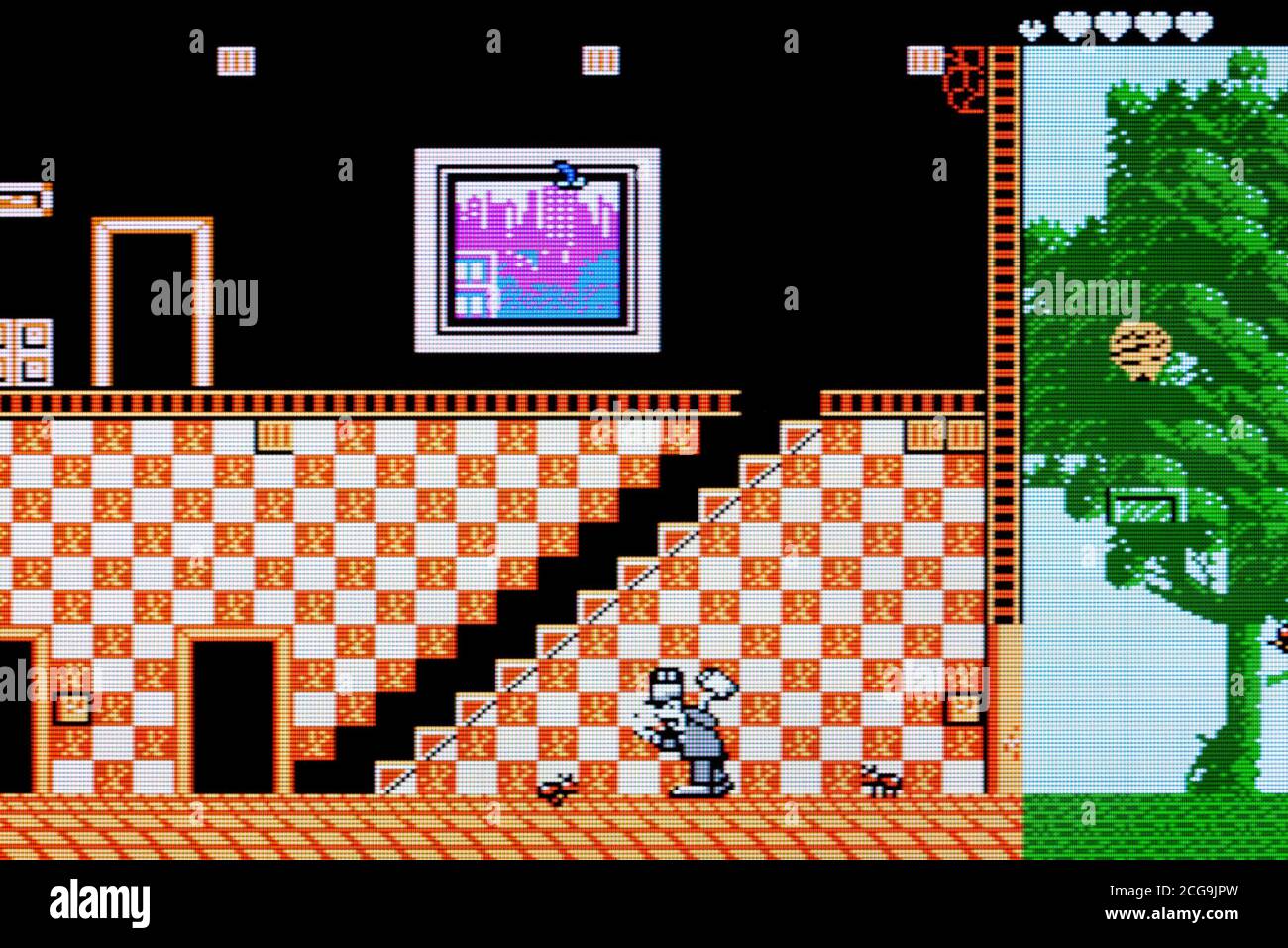 Pesterminator - Nintendo Entertainment System - NES Videogame ...